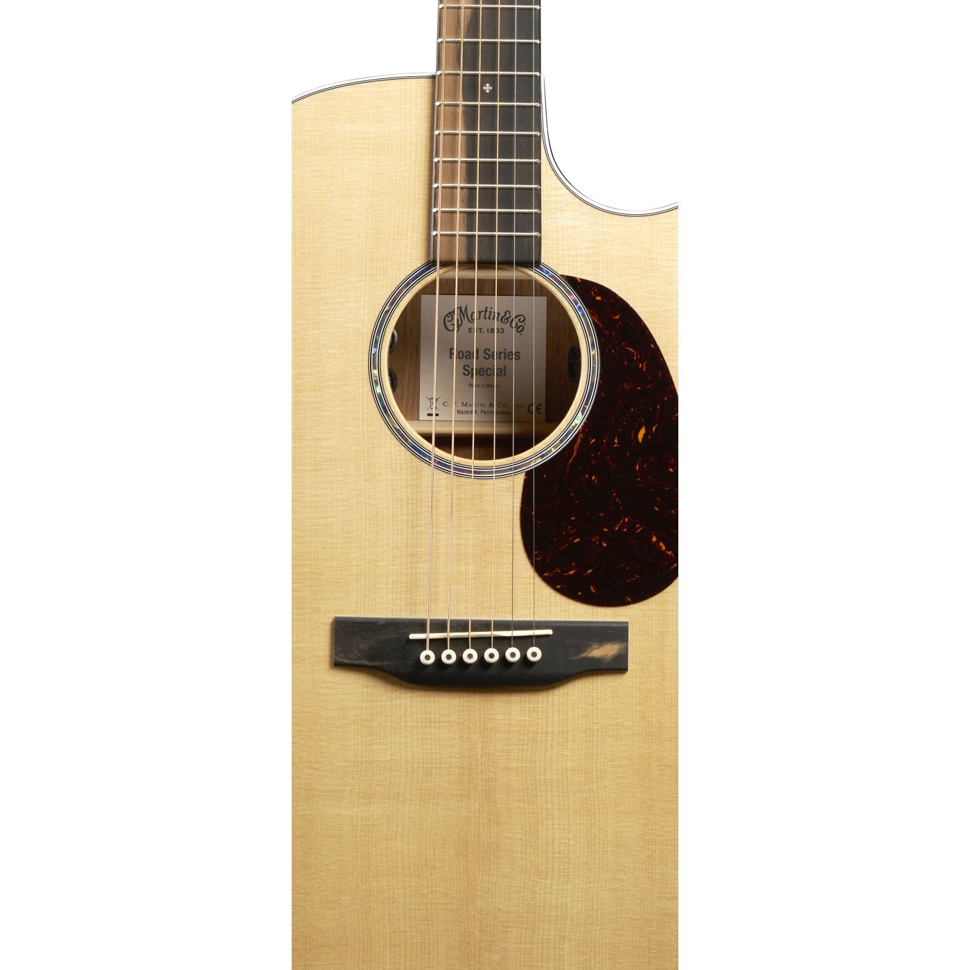 MARTIN GPC-13E-MODERN